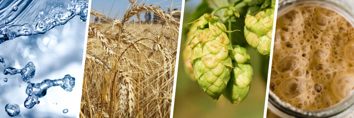 Die Rohstoffe im Bier - Bierwissen / Hopfenfüchse